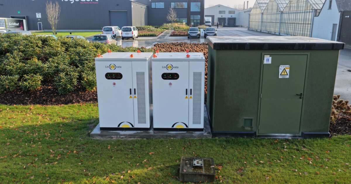 Plantenkwekerij Leybaert | Linea Trovata Suntec
